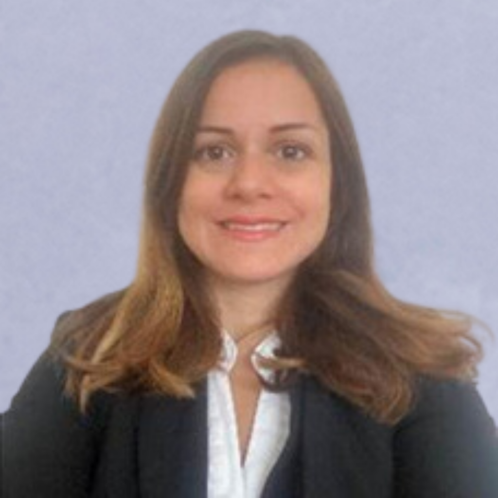 L'organisation du GICAN - Structure et fonctionnement